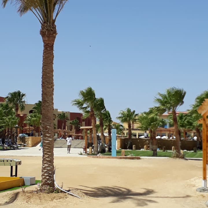 "Jeden Tag eine nette Begr..." Casa Mare Resort (Marsa Alam ...
