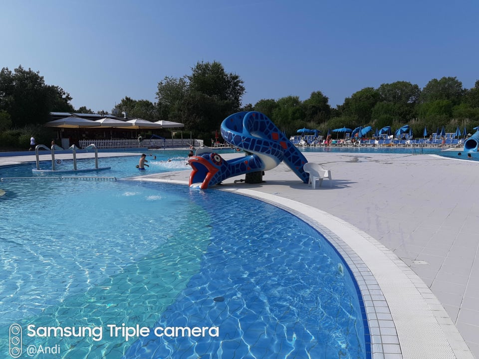 "Blick vom Eingang (Terras..." Villaggio Europa Grado (Grado ...