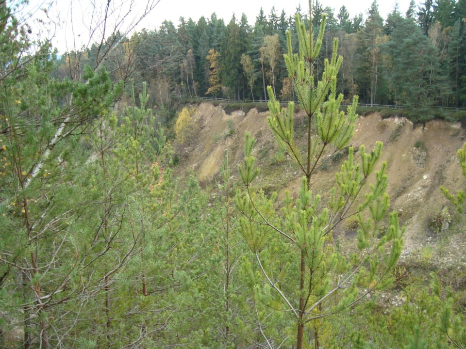 "Der große Pfahl" Sporthotel Am Pfahl (Viechtach) • HolidayCheck ...