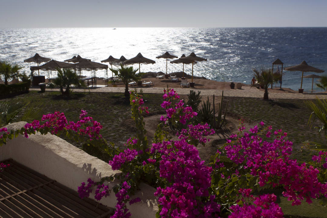 "Ausblick" Sharm Club Beach Resort (Sharm el Sheikh) • HolidayCheck ...
