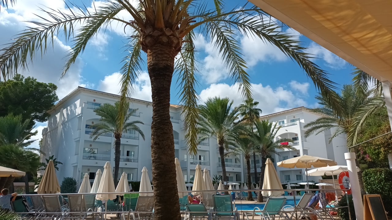 "Pool" TUI SUNEO Green Garden (Cala Ratjada) • HolidayCheck (Mallorca ...