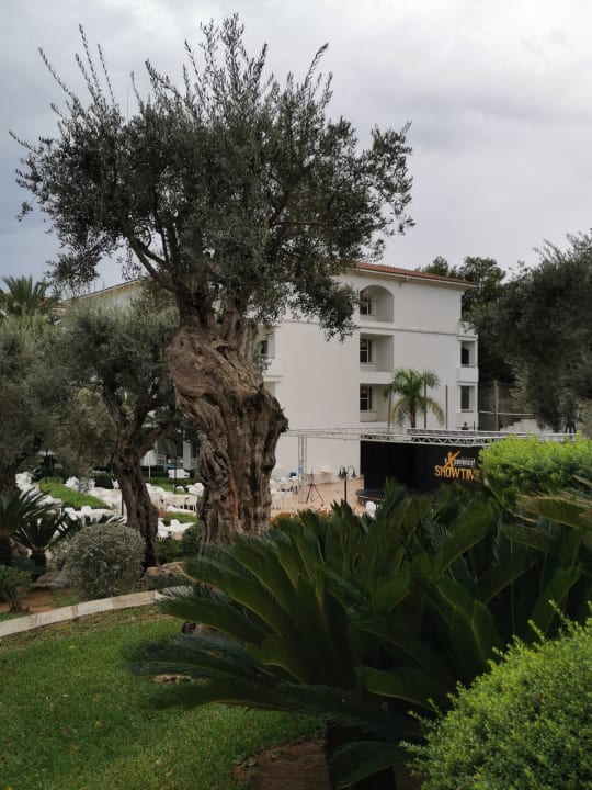 "Gartenanlage" TUI SUNEO Green Garden (Cala Ratjada) • HolidayCheck ...