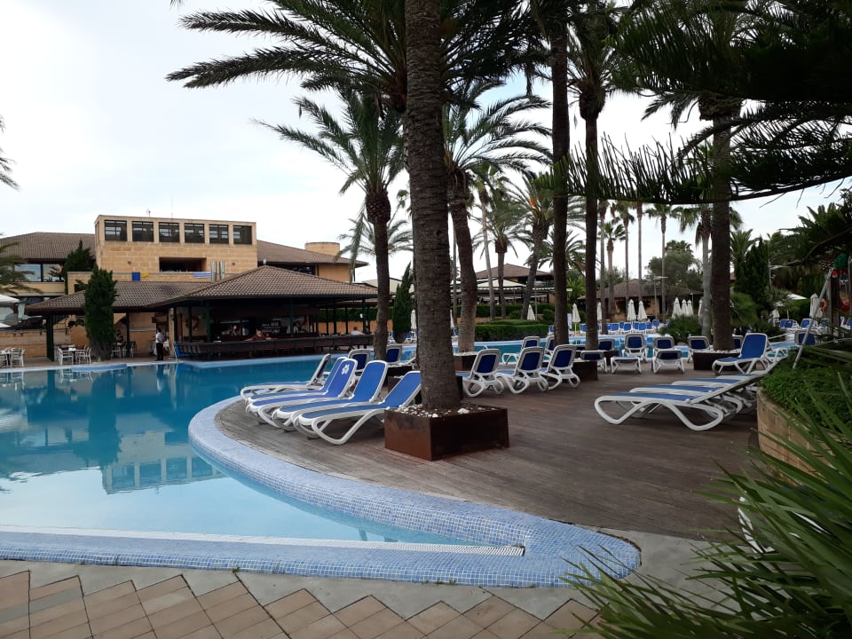 "Pool" PortBlue Club Pollentia Resort & Spa (Alcudia) • HolidayCheck ...
