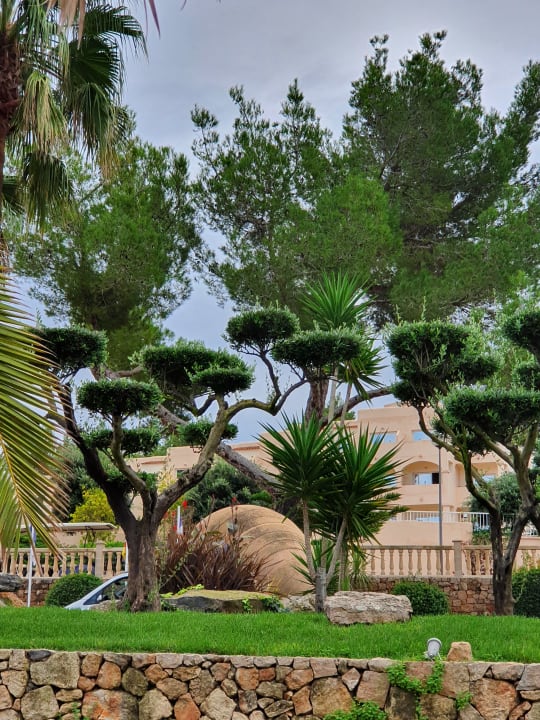 "Garten" Sentido Cala Verde (Playa Des Figueral) • HolidayCheck (Ibiza ...