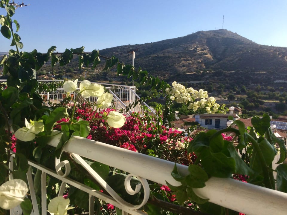 "Ausblick" Cyprus Villages Kalavasos & Tochni (Tochni) • HolidayCheck ...