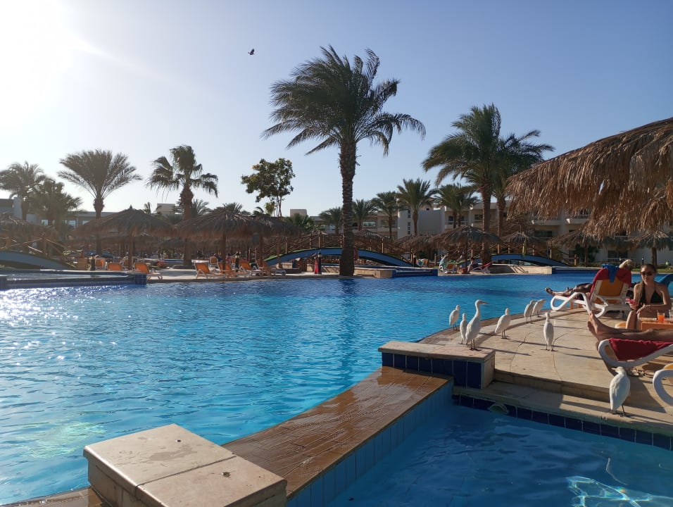 "Blick in die Lobby" Hurghada Long Beach Resort (Hurghada ...
