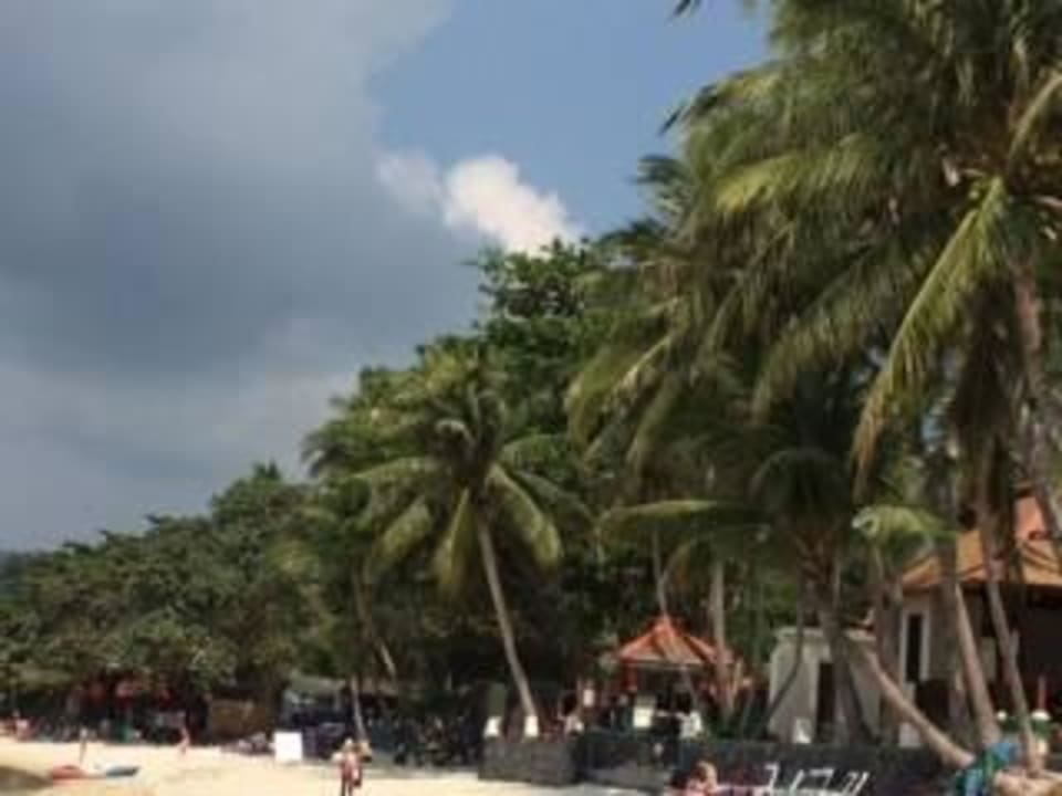 "Beachside" Beyond Samui (Chaweng Beach) • HolidayCheck (Koh Samui ...