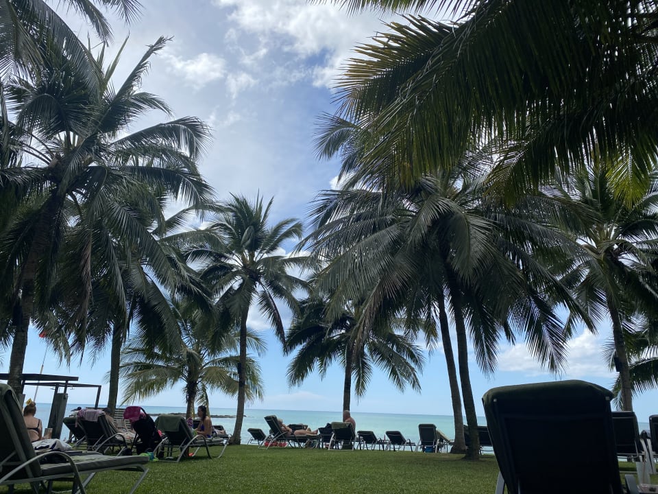"Strand" The Sands Khao Lak by Katathani (Nang Thong Beach ...