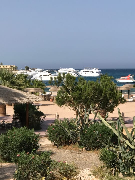 "Ausblick" Lotus Bay Beach Resort (Abu Soma) • HolidayCheck (Hurghada ...