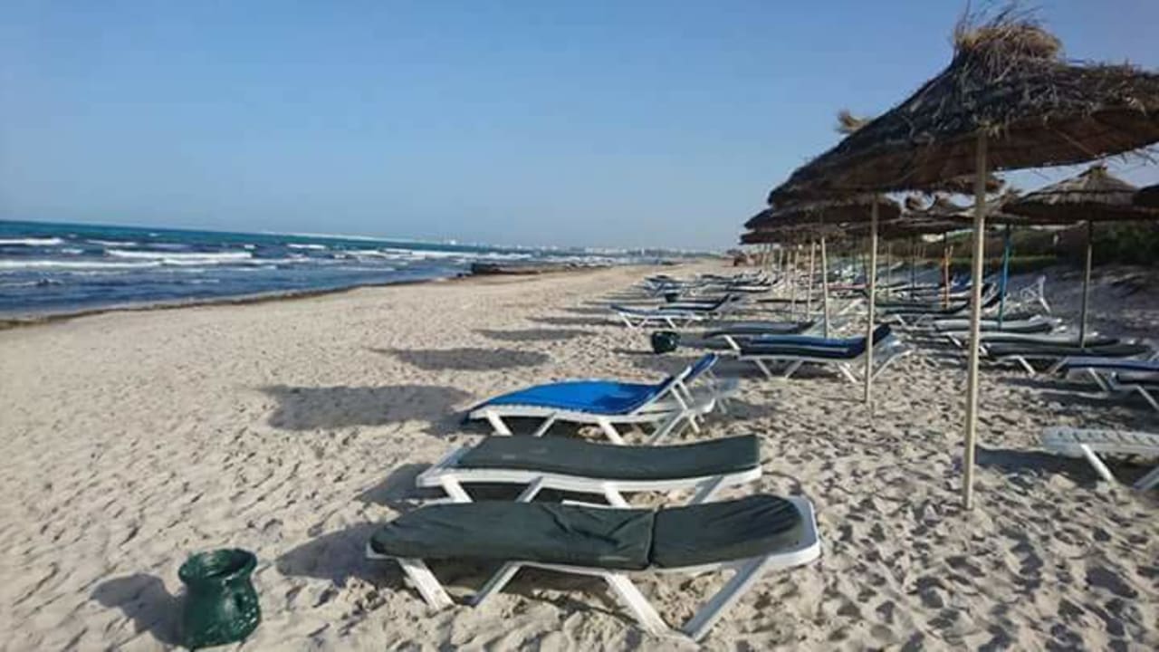 "Strand" Hotel Caribbean World Mahdia (Mahdia) • HolidayCheck (Großraum ...