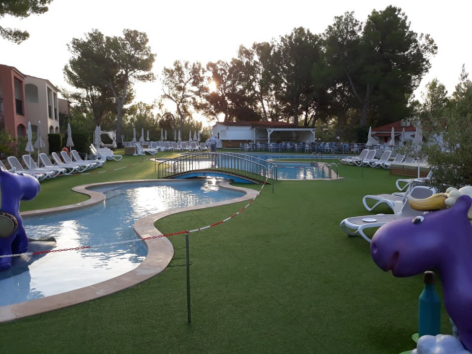 "Pool" FERGUS Club Europa (Peguera) • HolidayCheck (Mallorca | Spanien)