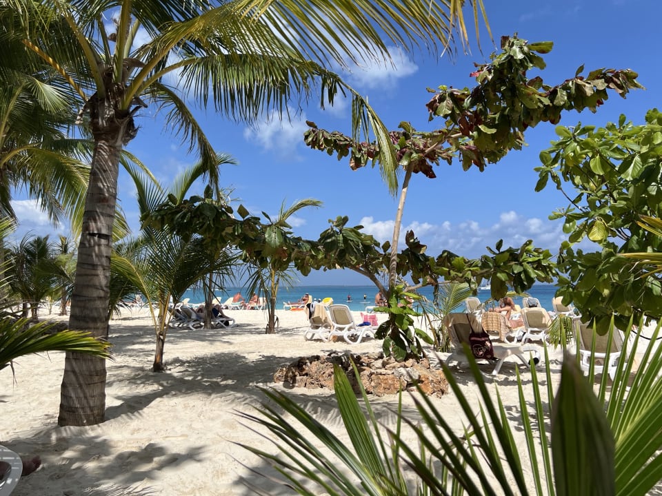 "Strand" Hotel Riu Jambo (Kendwa) • HolidayCheck (Zanzibar / Sansibar ...