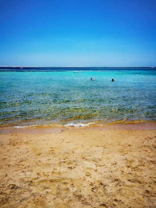 "Strand" Steigenberger ALDAU Beach Hotel (Hurghada) • HolidayCheck ...