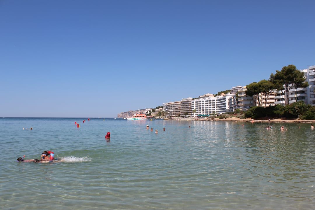 "Strand" Club Santa Ponsa (Calvia) • HolidayCheck (Mallorca | Spanien)