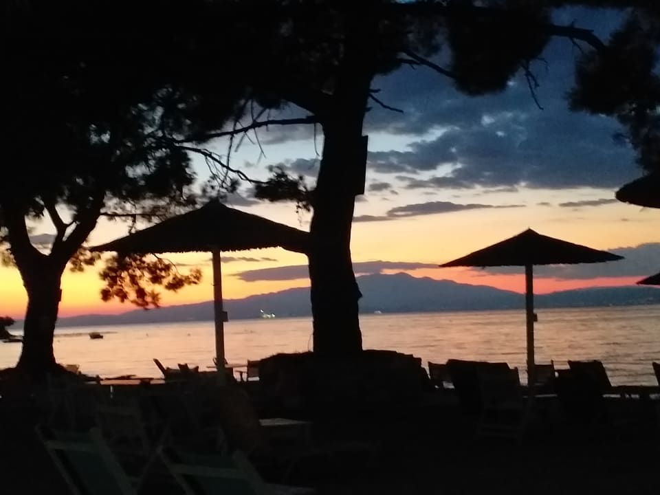 "Strand" Mediterranean Beach Hotel (Skala Rachoni) • HolidayCheck ...