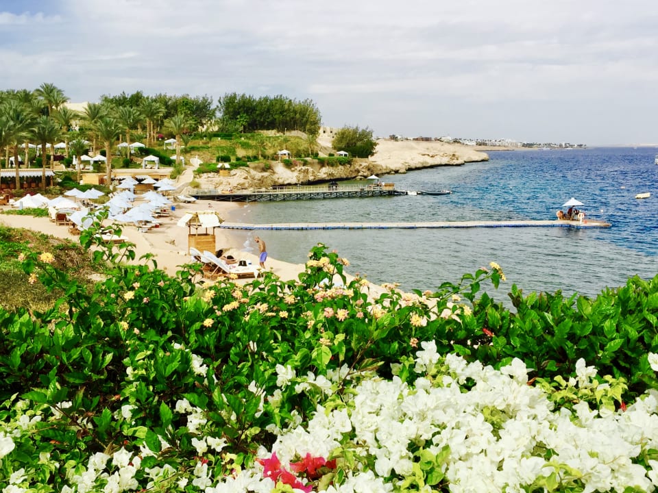 "Strand" Four Seasons Resort Sharm El Sheikh (Shark Bay) • HolidayCheck ...