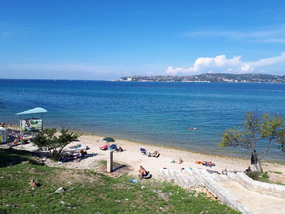 "Strand" Apartments Kanegra Plava Laguna (Umag) • HolidayCheck (Istrien ...