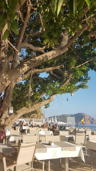 "Außenansicht" Floria Beach Hotel (Alanya) • HolidayCheck (Türkische ...