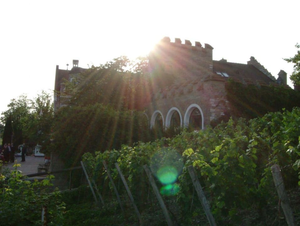 "Sonne über Schloß Steinbu..." Schlosshotel Steinburg (Würzburg ...