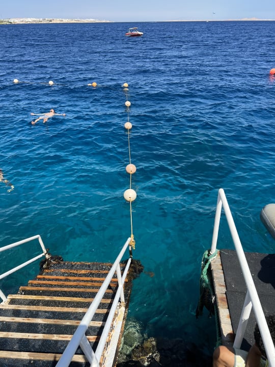 "Strand" SUNRISE Arabian Beach Resort - Grand Select (Sharm el Sheikh ...