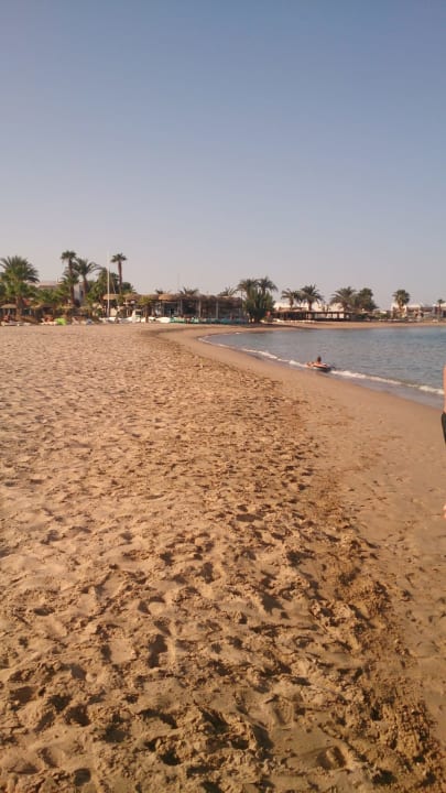 "Strand" Lotus Bay Beach Resort (Abu Soma) • HolidayCheck (Hurghada ...