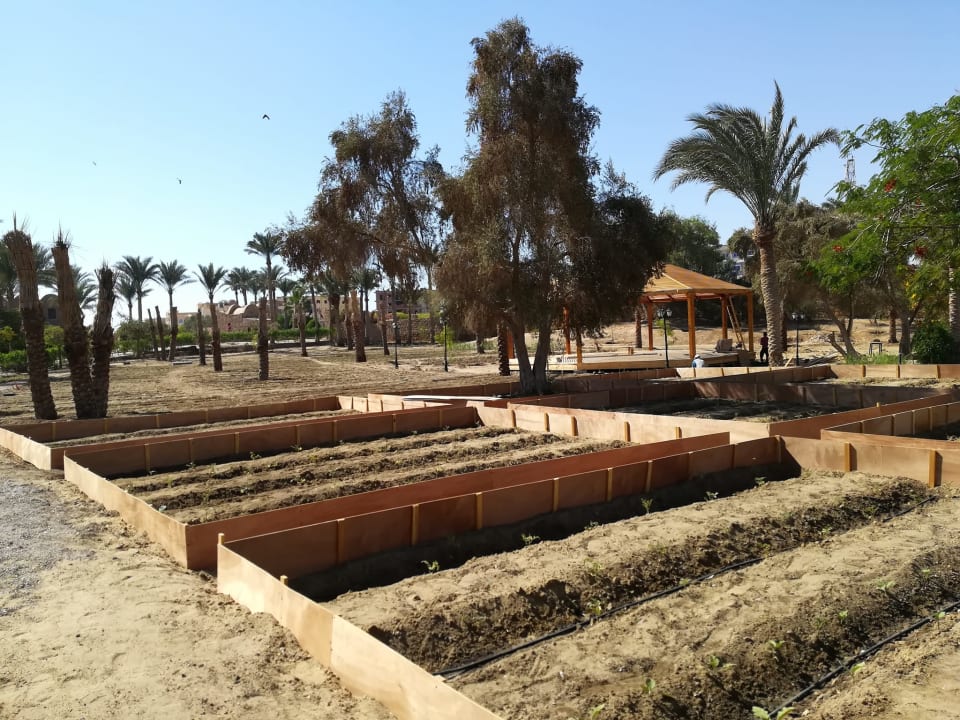 "Zimmer" Mövenpick Resort El Quseir (El Quseir) • HolidayCheck (Marsa ...