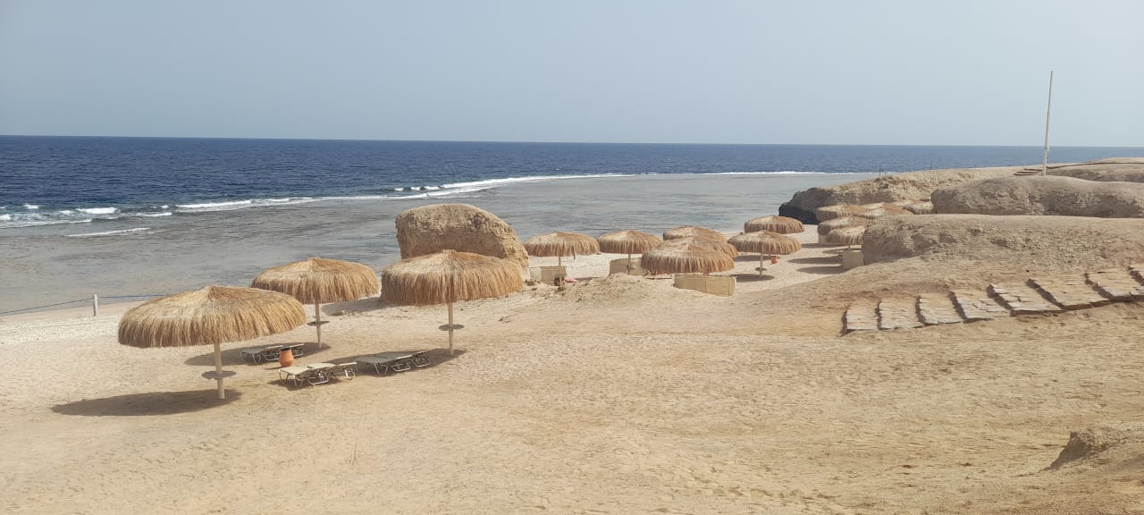 "Strand" Jaz Dar EL Madina (Marsa Alam) • HolidayCheck (Marsa Alam/El ...