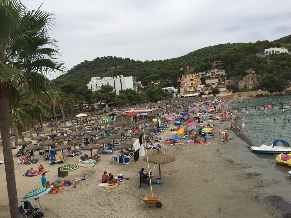"Strand" Alua Gran Camp de Mar (Camp de Mar) • HolidayCheck (Mallorca ...