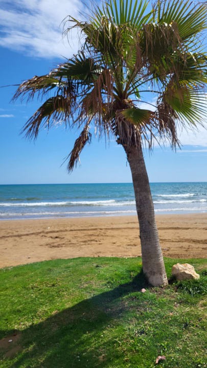 "Strand" Armella Hill (Colakli) • HolidayCheck (Türkische Riviera | Türkei)