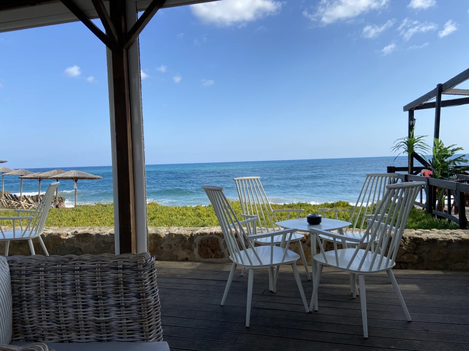 "Außenansicht" Cactus Bay (Stalis) • HolidayCheck (Kreta | Griechenland)