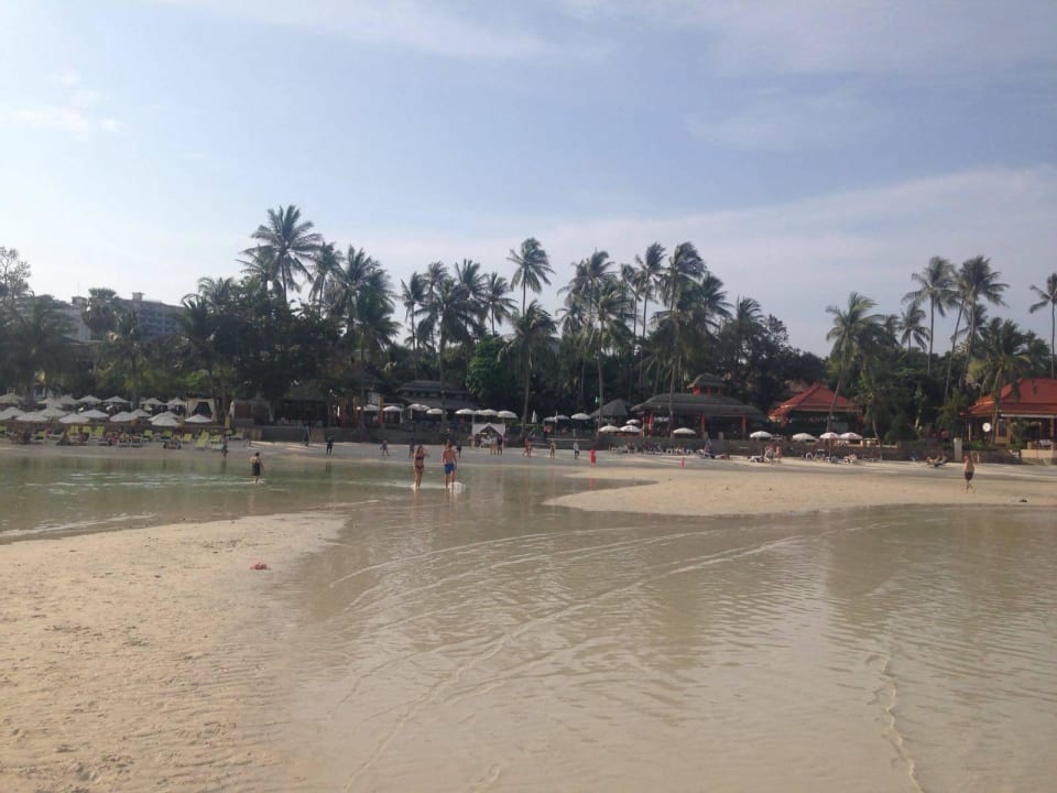 "Ebbe & Flut" Beyond Samui (Chaweng Beach) • HolidayCheck (Koh Samui ...