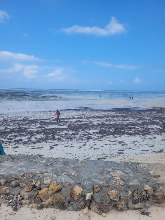 "Bracklandschaft bei Ebbe" TUI Blue Bahari Zanzibar (Pwani Mchangani ...