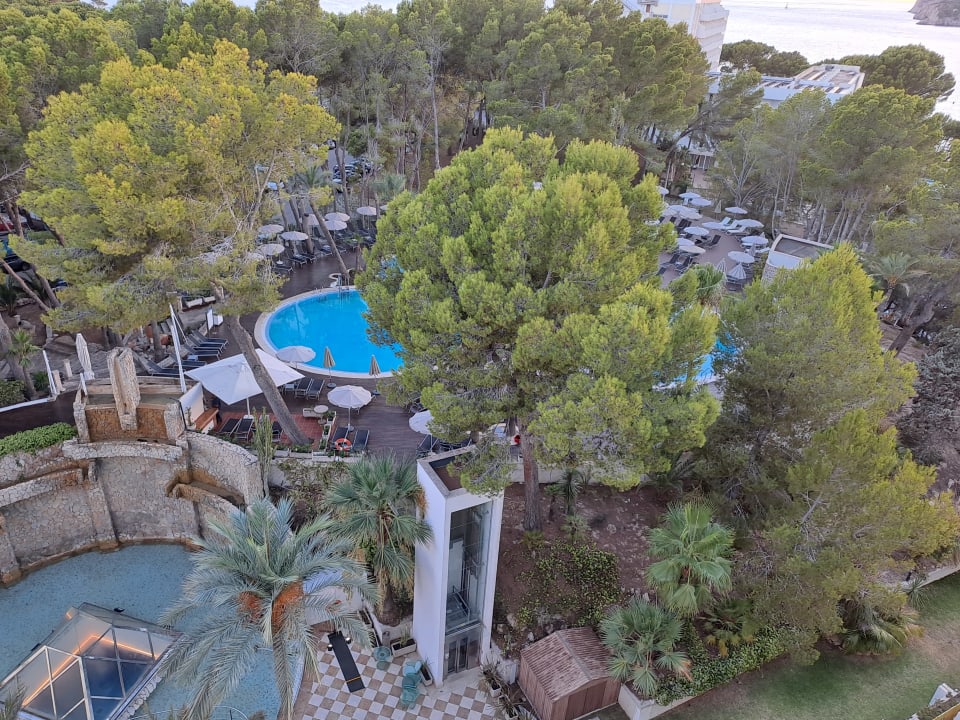 "Außenansicht" allsun Hotel Bella Paguera (Peguera) • HolidayCheck (Mallorca | Spanien)