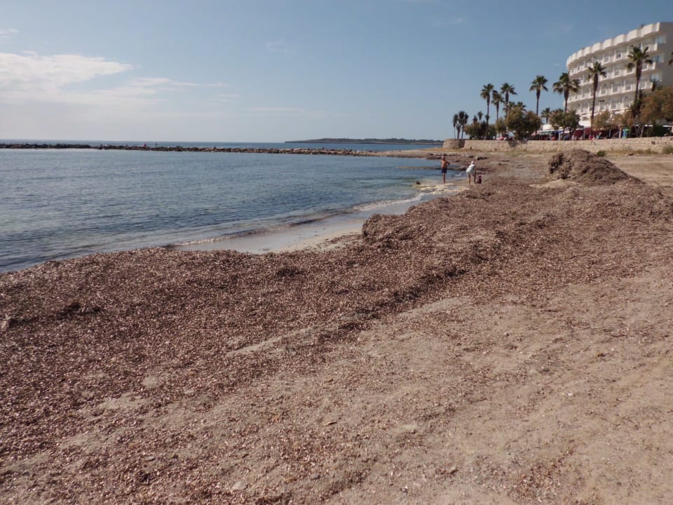 "am strand berge von abges..." Cabot Cap de Mar (Cala Bona ...