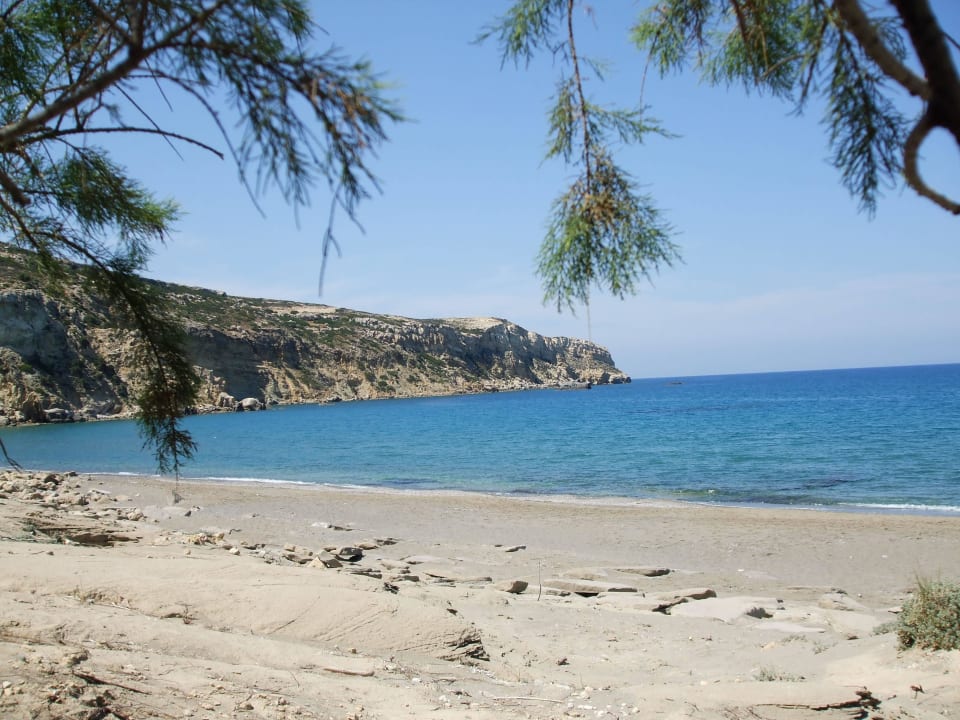 "Pitsidia Strand" Pension Aretoussa (Pitsidia) • HolidayCheck (Kreta ...