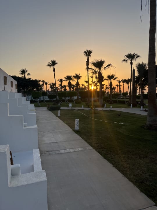 "Zimmer" Meraki Resort (Adults Only) (Hurghada) • HolidayCheck ...