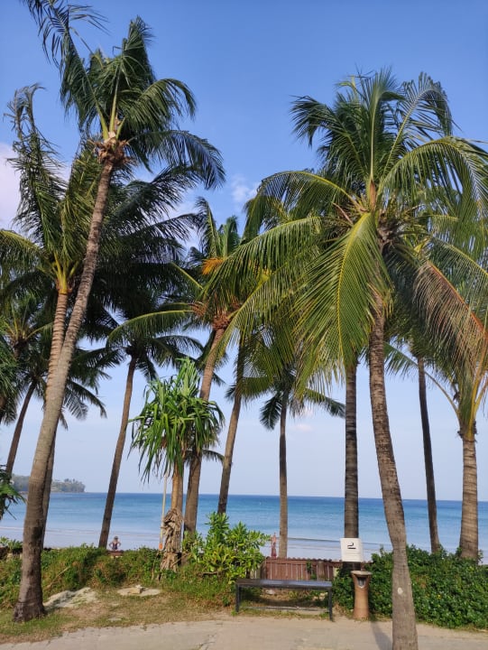 "Strand" Sunprime Kamala Beach (Kamala) • HolidayCheck (Phuket | Thailand)