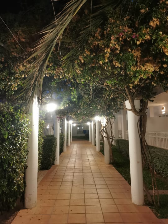 "Pool" TUI SUNEO Green Garden (Cala Ratjada) • HolidayCheck (Mallorca ...