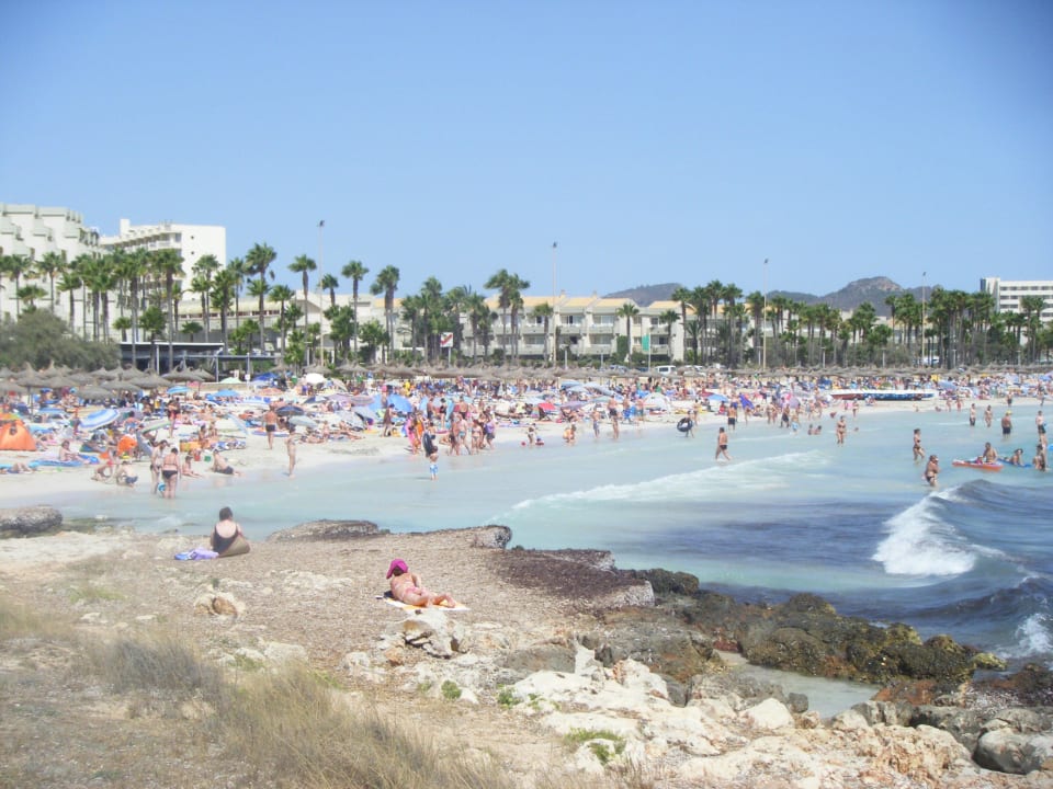 "Strand Sa Coma" Hipotels Mediterraneo Club (Sa Coma) • HolidayCheck ...