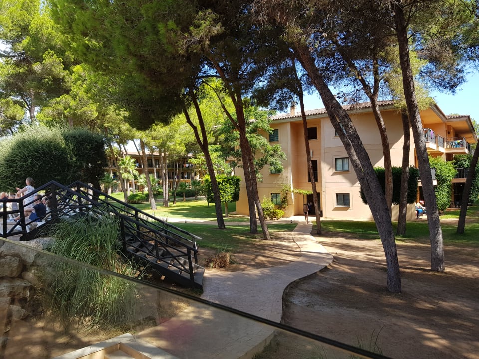 "Gartenanlage " Vell Marí Hotel & Resort (Can Picafort) • HolidayCheck ...