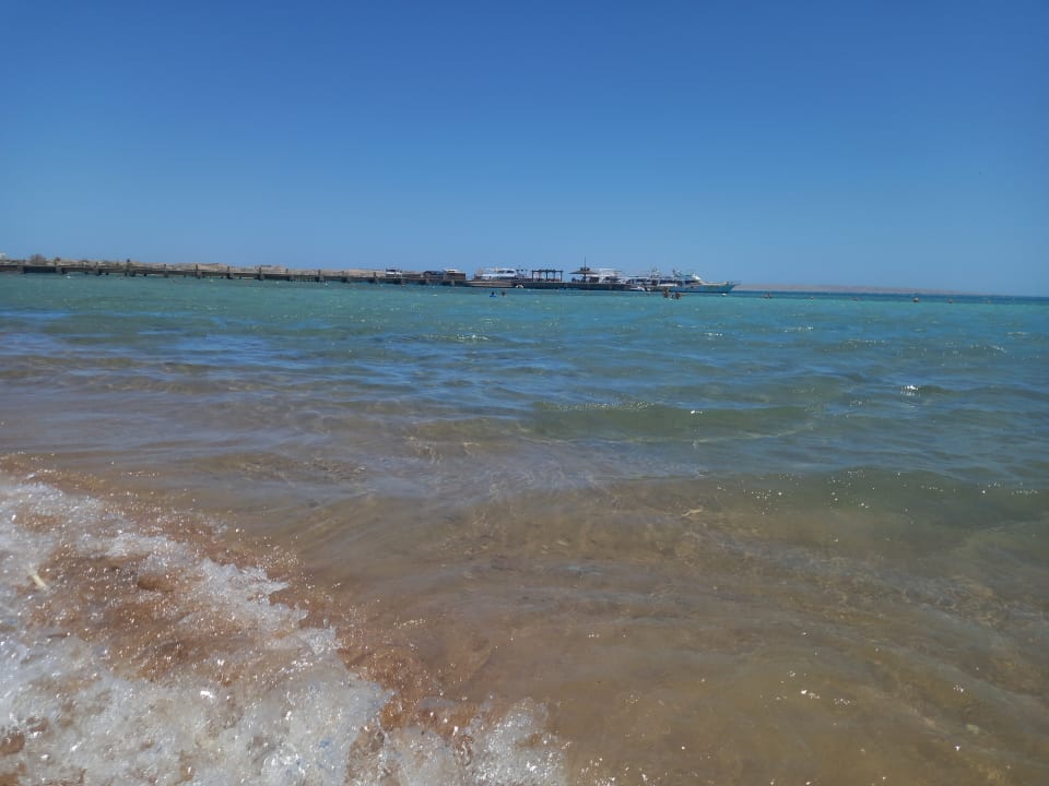 "Strand" Steigenberger ALDAU Beach Hotel (Hurghada) • HolidayCheck ...