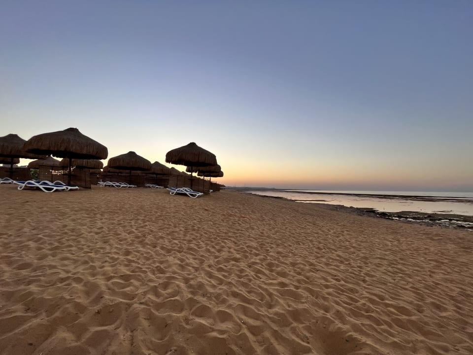 "Strand" Lazuli Hotel Marsa Alam (El Quseir) • HolidayCheck (Marsa Alam ...