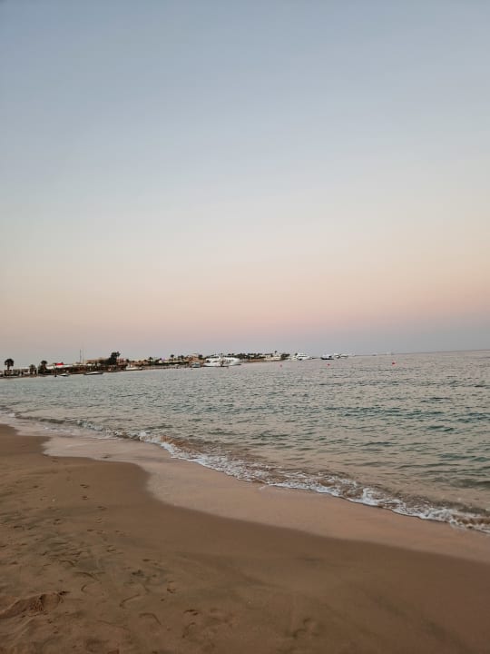 "Strand" Lotus Bay Beach Resort (Abu Soma) • HolidayCheck (Hurghada ...
