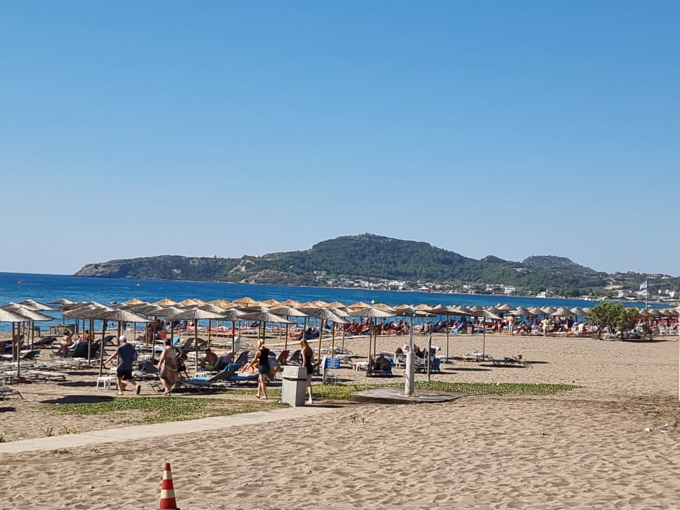 "Strand" Blue Sea Beach Resort (Faliraki) • HolidayCheck (Rhodos ...