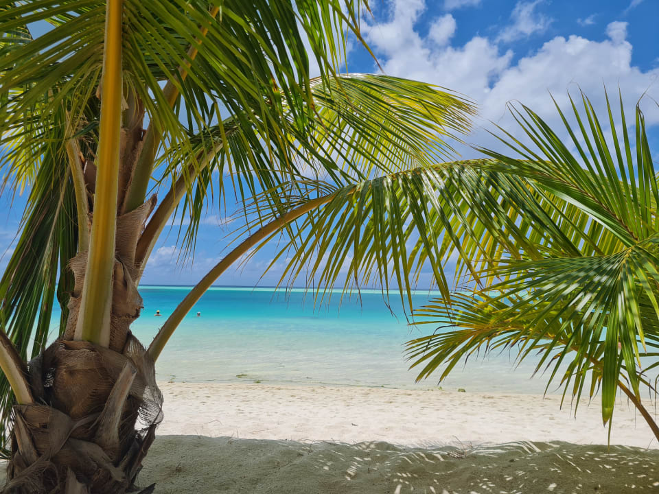 "Strand" Hotel Riu Atoll (Kudahuvadhoo) • HolidayCheck (Dhaalu Atoll ...