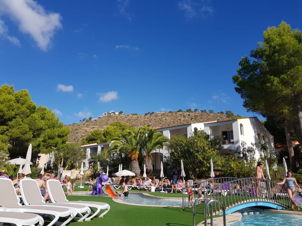 "Magnus Pool " FERGUS Club Europa (Peguera) • HolidayCheck (Mallorca ...