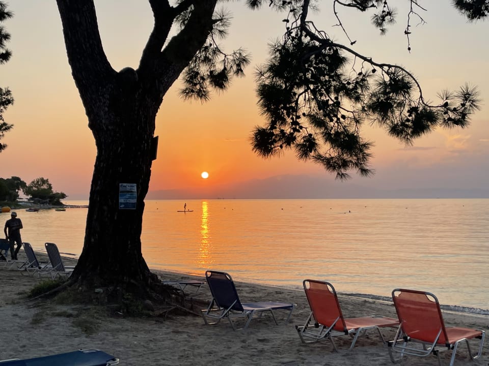 "Strand" Mediterranean Beach Hotel (Skala Rachoni) • HolidayCheck ...