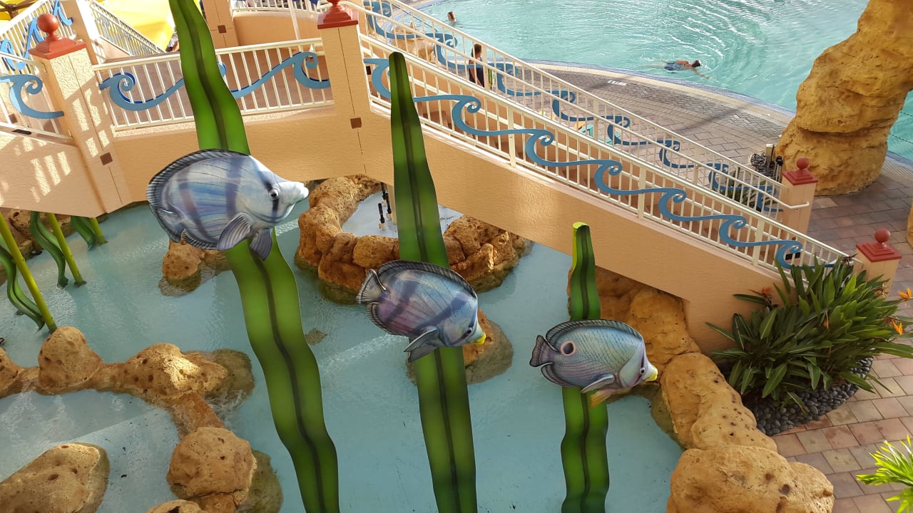 "Am Pool " Hotel Pink Shell Beach Resort (Fort Myers Beach ...