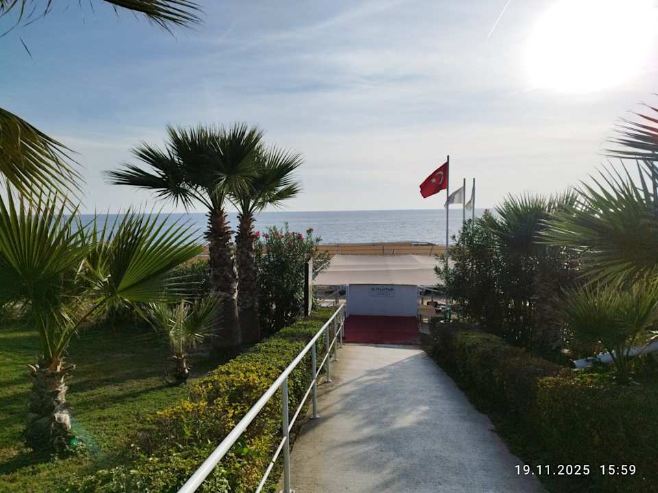 "Strand" allsun Numa Club Side (Colakli) • HolidayCheck (Türkische ...
