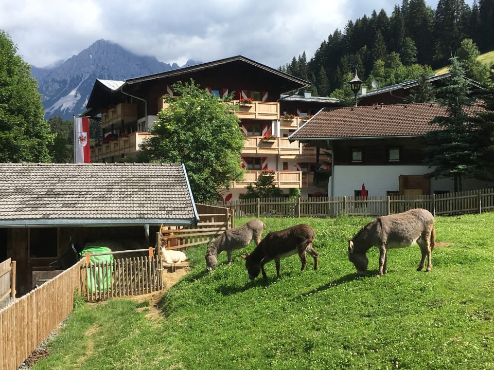 "Außenansicht" Landhof Ellmau (Ellmau) • HolidayCheck (Tirol | Österreich)